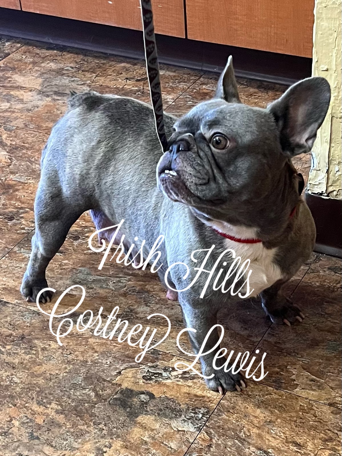 Irish Hills Farm LLC